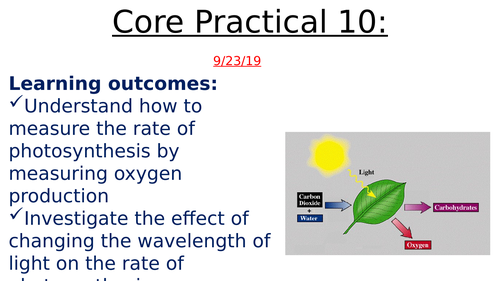 IAL Core Prac 10 - Investigate effects of light intensity and ...