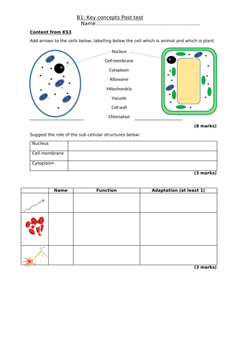Pre and post progress quiz B1 Biology Edexcel | Teaching Resources