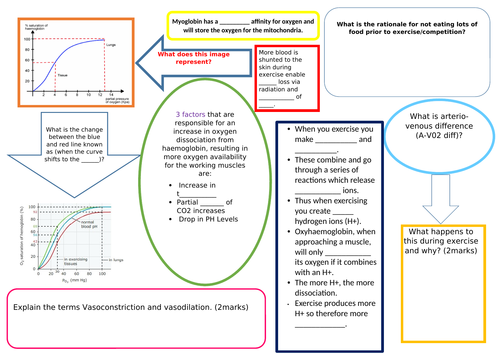 Bohr Shift Oxygen Dissociation Curve Teaching Resources