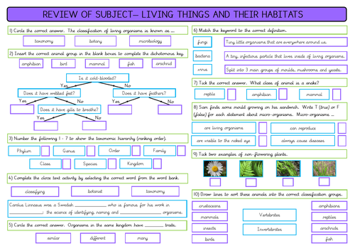 Review of Subject | Teaching Resources