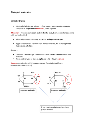 biological molecules - carbohydrates notes A-level | Teaching Resources