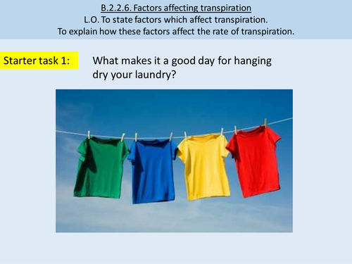 Transpiration / Factors Affecting Transpiration | Teaching Resources Transpiration / Factors Affecting Transpiration | Teaching Resources
