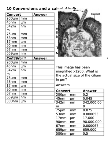 Measurement conversions with a magnification calculation | Teaching ...