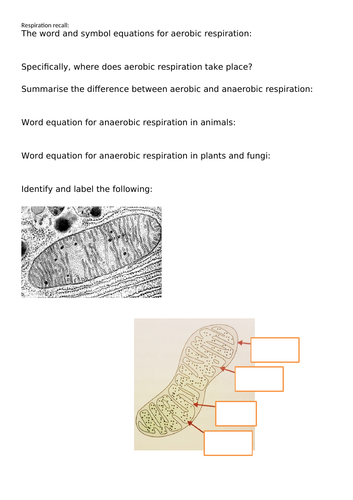 AQA A level Biology Respiration | Teaching Resources