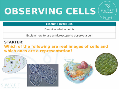 KS3 ~ Year 7 ~ Observing Cells Using A Microscope | Teaching Resources