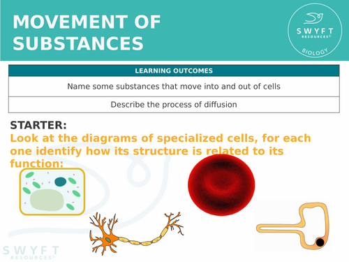 KS3 ~ Year 7 ~ Diffusion - Movement of Susbtances | Teaching Resources