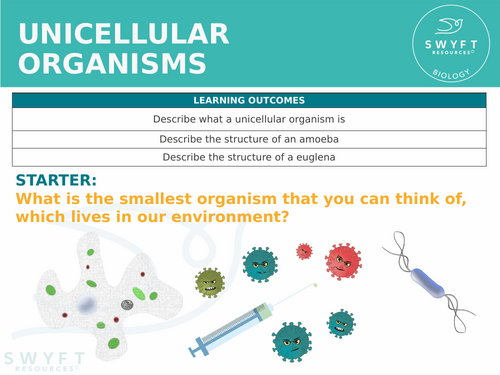 Unicellular Organisms Teaching Resources
