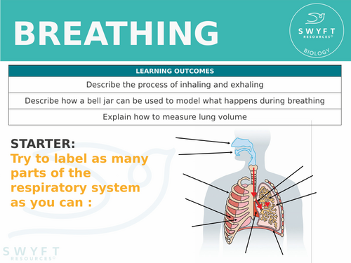 KS3 ~ Year 7~ Breathing | Teaching Resources