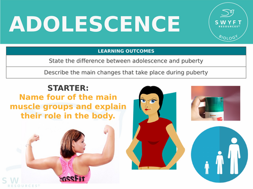KS3 ~ Year 7 ~ Adolescence | Teaching Resources