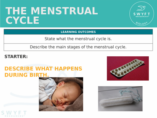 KS3 ~ Year 7 ~ The Menstrual Cycle | Teaching Resources