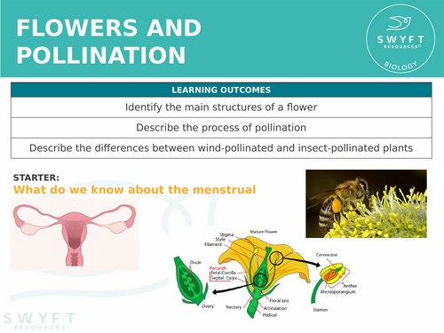 KS3 ~ Year 7~ Flowers & Pollination | Teaching Resources