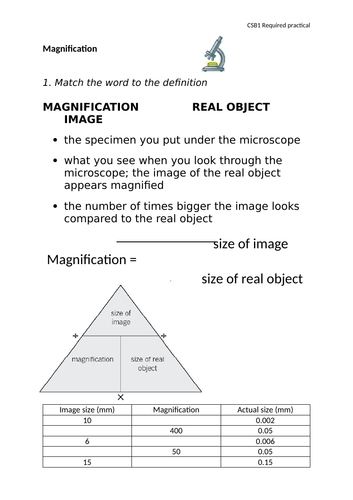 Magnification Low ability | Teaching Resources Magnification Low ability | Teaching Resources