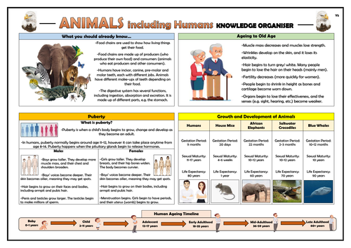 Year 5 Animals including Humans Knowledge Organiser! | Teaching Resources