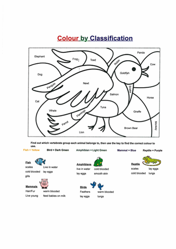 Colour by Classification | Teaching Resources