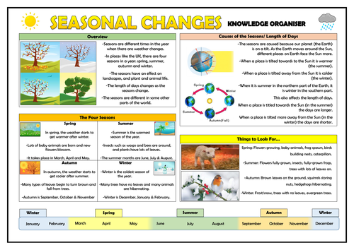 Year 1 Seasonal Changes Knowledge Organiser! | Teaching Resources