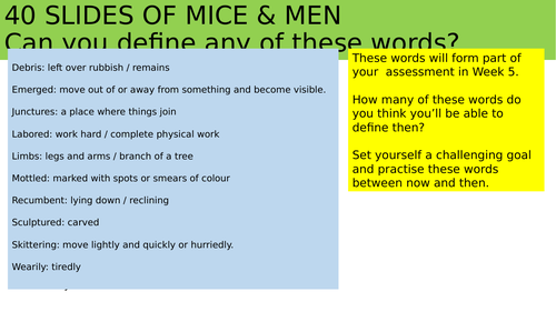 40 SLIDES OF MICE & MEN | Teaching Resources