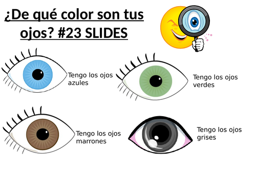 El pelo y los ojos 23 SLIDES | Teaching Resources