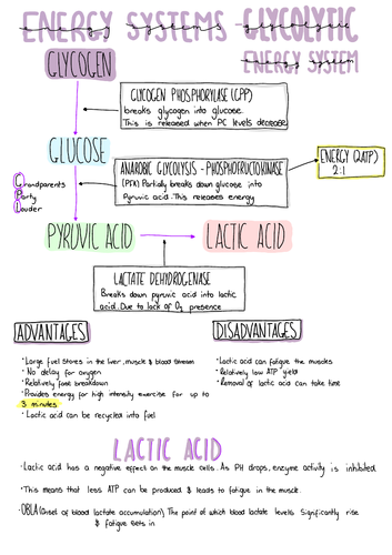 A-Level PE OCR, Glycolytic Energy System | Teaching Resources A-Level PE OCR, Glycolytic Energy System | Teaching Resources