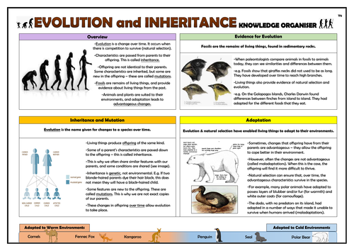 Year 6 Evolution and Inheritance Knowledge Organiser! | Teaching Resources