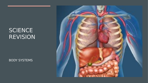 Body systems science revision | Teaching Resources