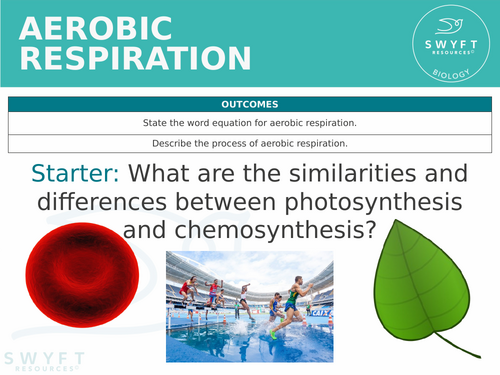 KS3 ~ Year 8 ~ Aerobic Respiration | Teaching Resources