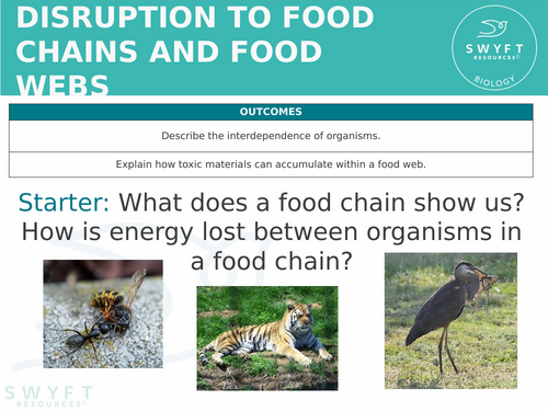 KS3 ~ Year 8 ~ Disruption to Food Chains & Webs | Teaching Resources