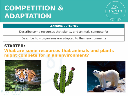 Competition In Plants
