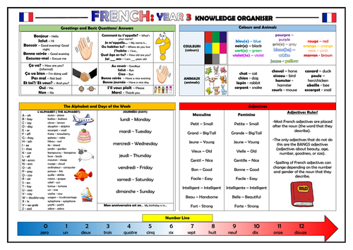 Year 3 French Knowledge Organiser! | Teaching Resources