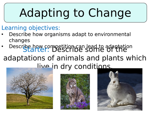 KS3 ~ Year 8 ~ Adapting to Change | Teaching Resources KS3 ~ Year 8 ~ Adapting to Change | Teaching Resources