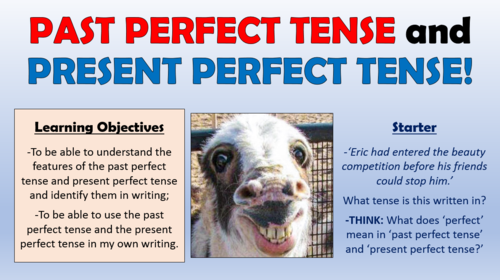 Past Perfect and Present Perfect Tense! | Teaching Resources