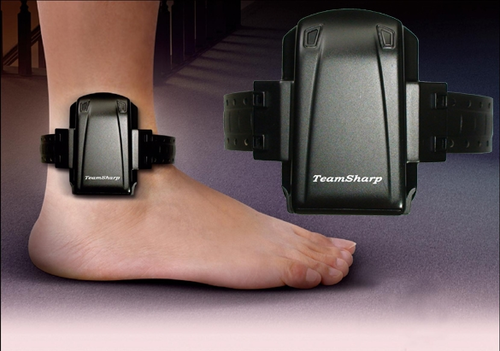 THE SCRAM PROGRAM | Teaching Resources