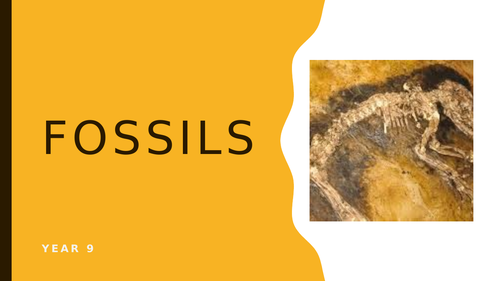 Fossils Research Task | Teaching Resources