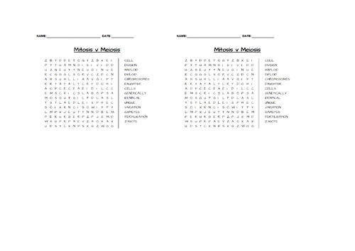 Mitosis v Meiosis Word search | Teaching Resources