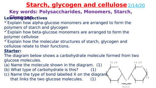 Starch, glycogen and cellulose | Teaching Resources
