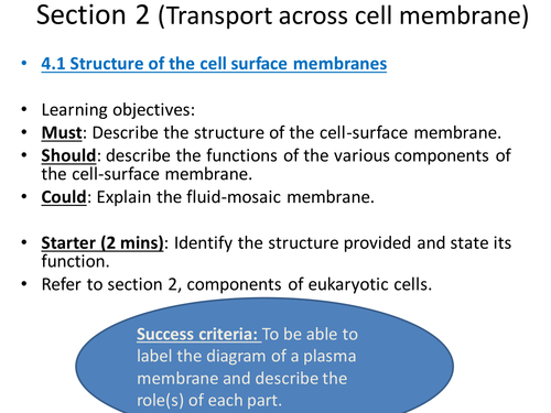 AQA AS Biology Section 2_Transport across cell membrane | Teaching ...
