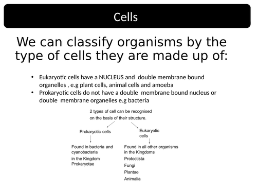 CELLS REVISION A LEVEL AND ROOT TIP SQUASH REQUIRED PRACTICAL ...