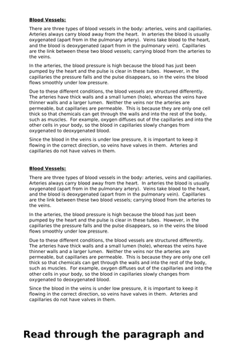 Blood vessels | Teaching Resources