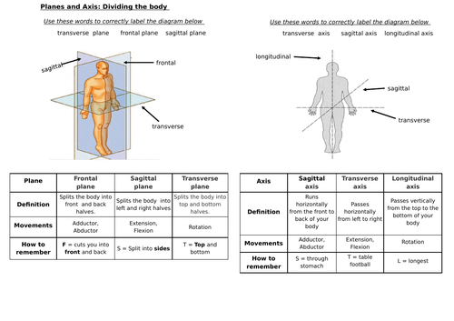 Planes and Axis | Teaching Resources Planes and Axis | Teaching Resources