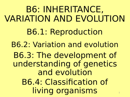 AQA B6 Flash Cards Revision | Teaching Resources