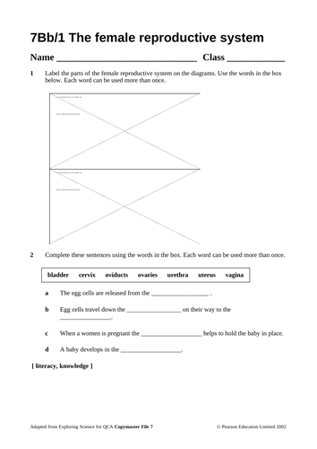 Puberty Teaching Resources
