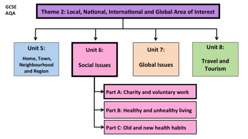 Social Issues- Unit 6- GCSE French | Teaching Resources