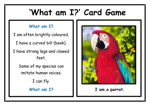 What Am I? A Great Describing Game | Teaching Resources