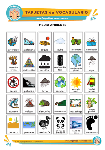 Medio Ambiente - Vocabulary Flashcards | Teaching Resources