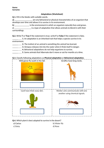 Adaptations - Worksheet | Printable and Distance Learning | Teaching ...