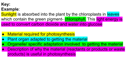 Plant adaptations for photosynthesis_Gap fill | Teaching Resources