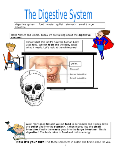 Living Things! The Digestive System | Teaching Resources