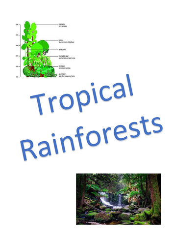 The Living World: Tropical Rainforests Revision Notes - AQA GCSE ...