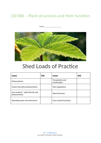 EDEXCEL CB6/SB6 Revision SLOP Booklet | Teaching Resources