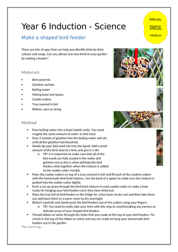 Science at Home - Make a Shaped Bird Feeder | Teaching Resources