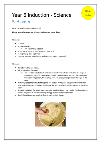 Science at Home - Pond Dipping | Teaching Resources